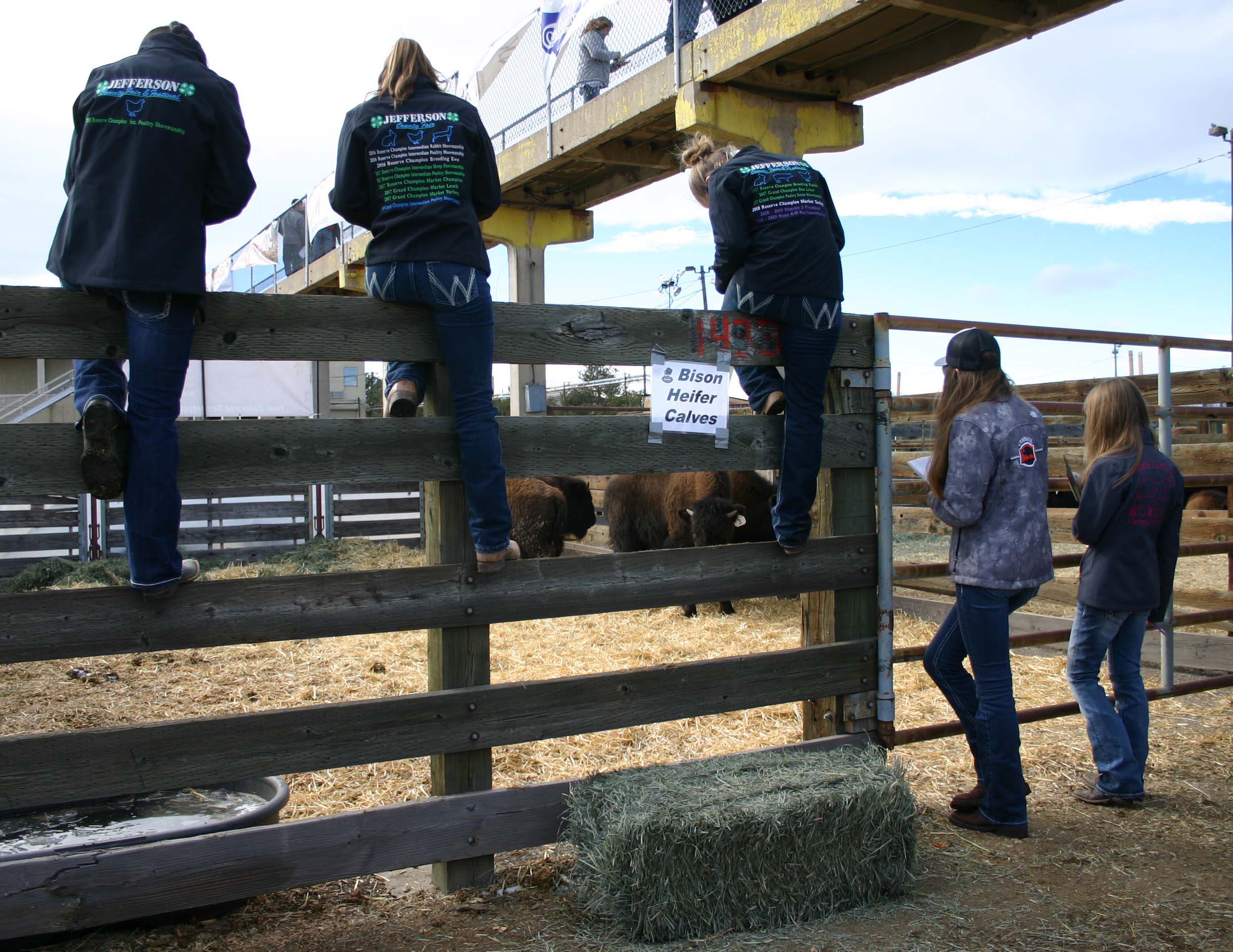Bison Build Bridges with Urban Students - National Bison Association