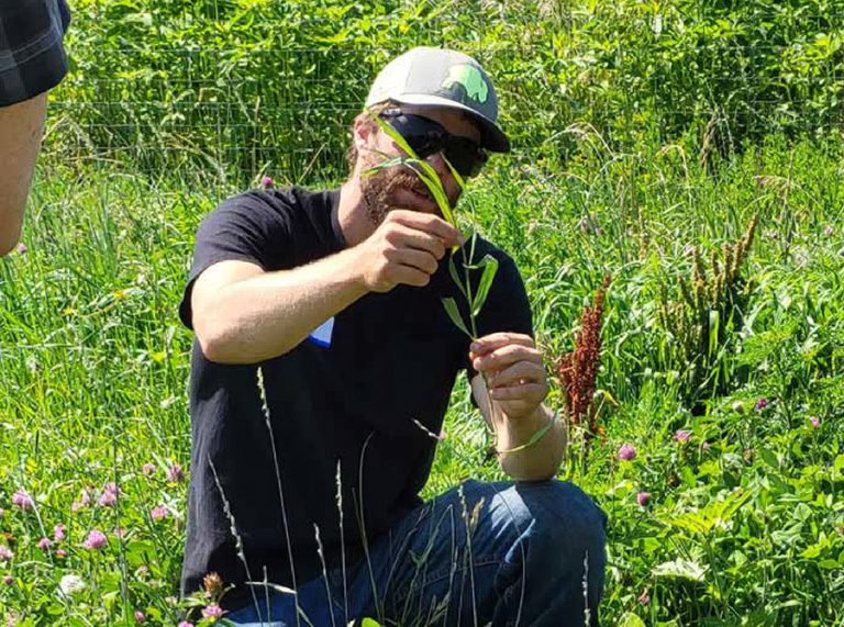 Bison Production - National Bison Association