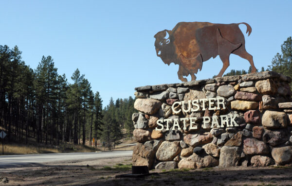 Bison by the Numbers - National Bison Association