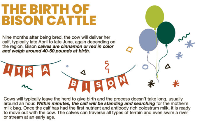 The Bison Advantage - National Bison Association