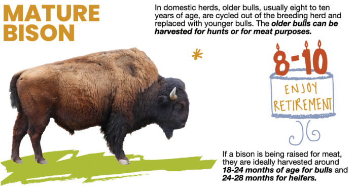 The Bison Advantage - National Bison Association