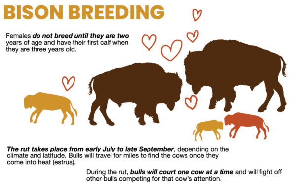 The Bison Advantage - National Bison Association