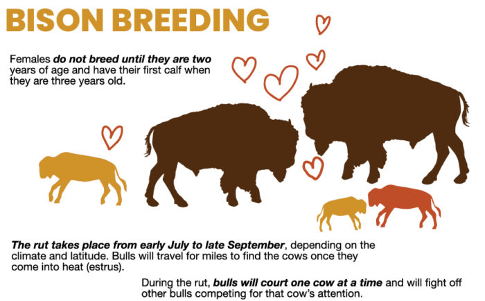 The Bison Advantage - National Bison Association