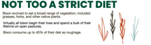 The Bison Advantage - National Bison Association