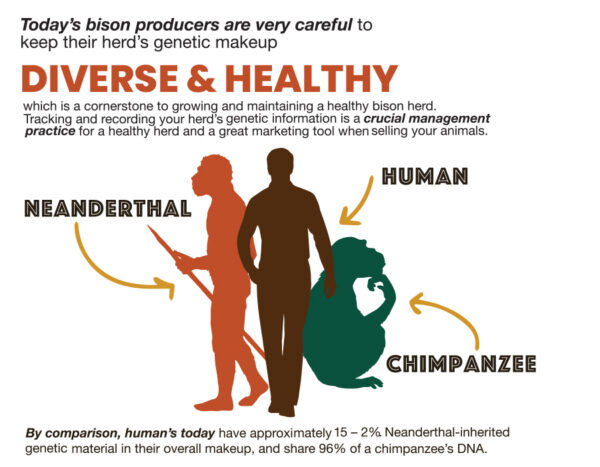 The Bison Advantage - National Bison Association